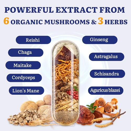 natural reishi supplement for stress relief