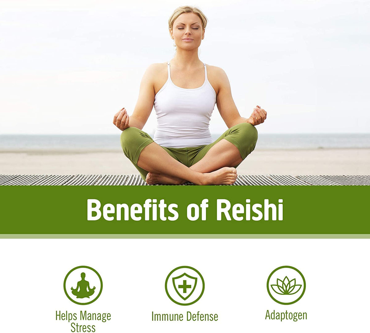 natural reishi supplement for stress relief