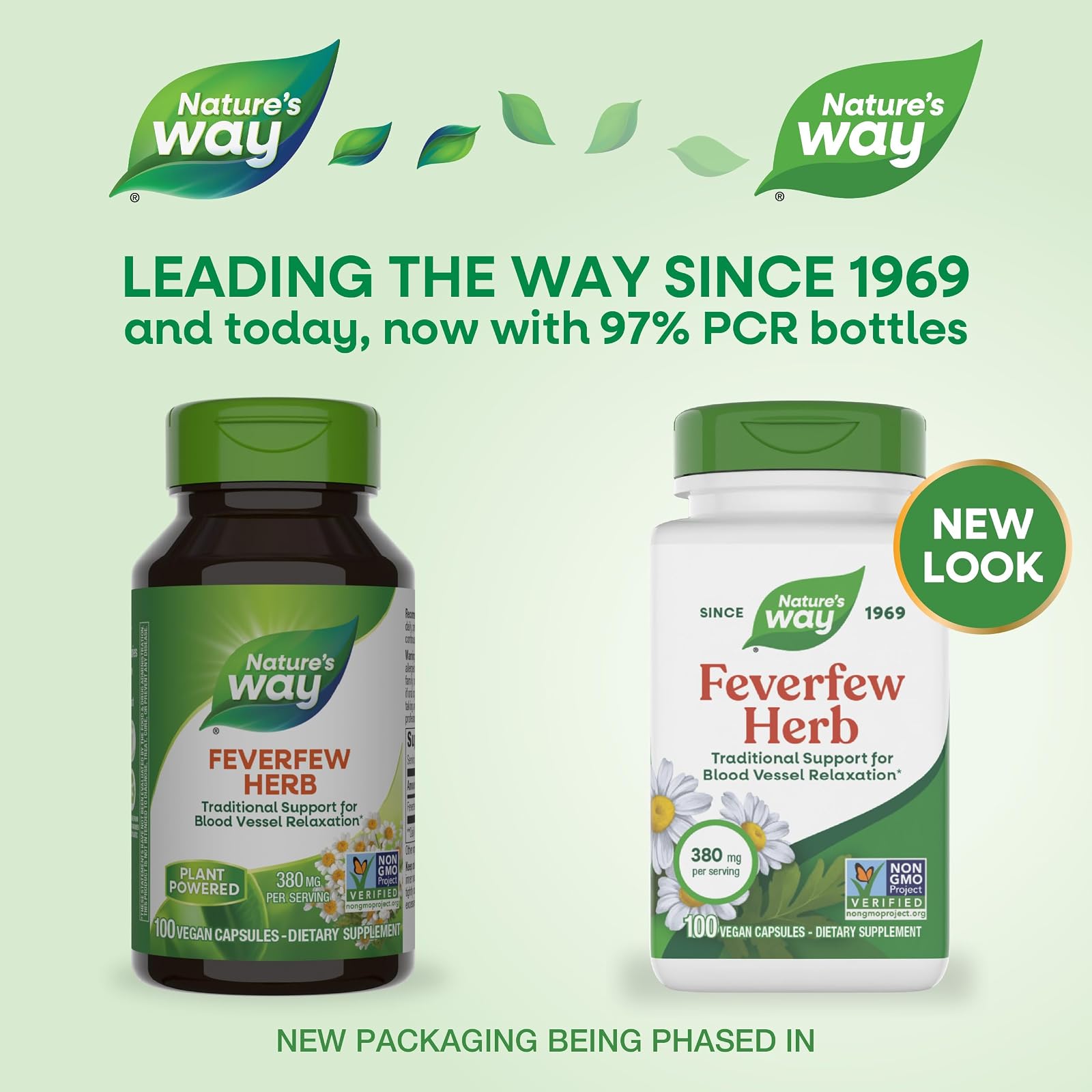 natural relief from migraines Feverfew