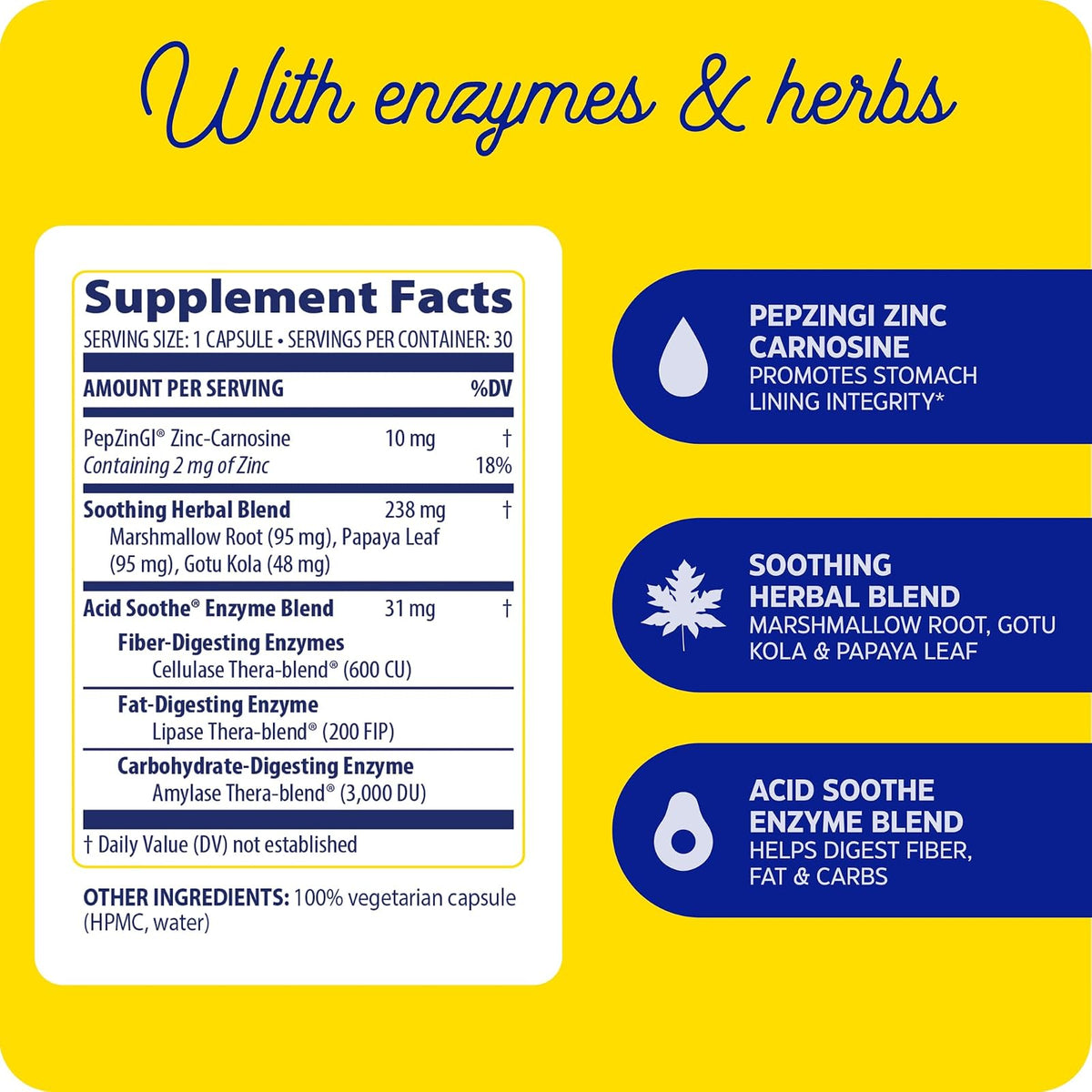 natural relief with Enzymedica capsules