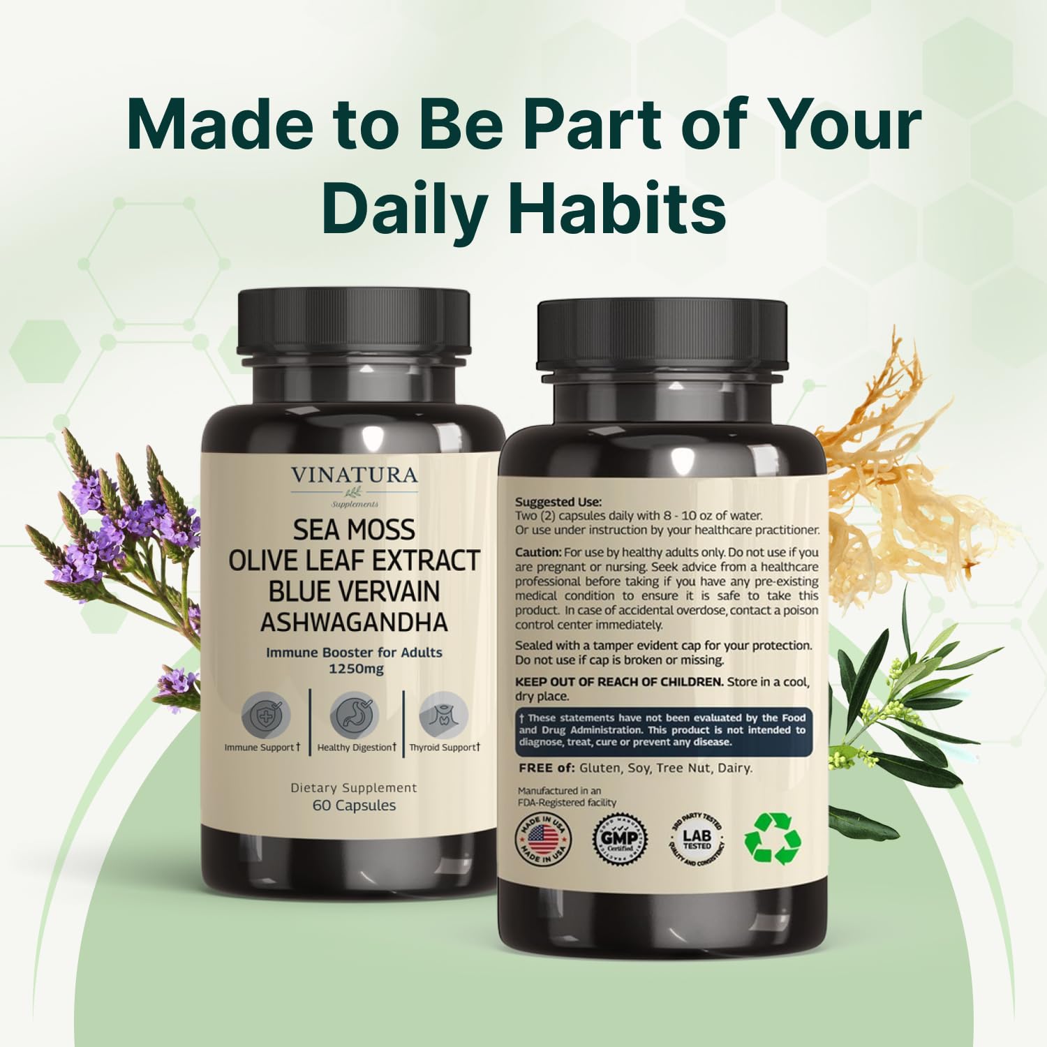 natural remedies for immune system