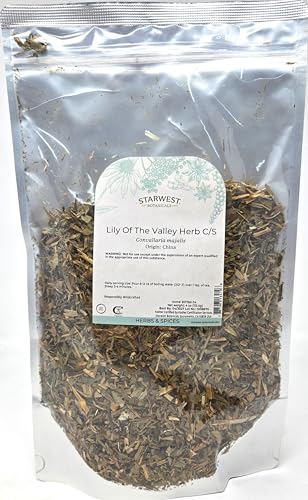 natural remedies with echinacea