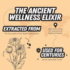 Natural remedy black seed oil