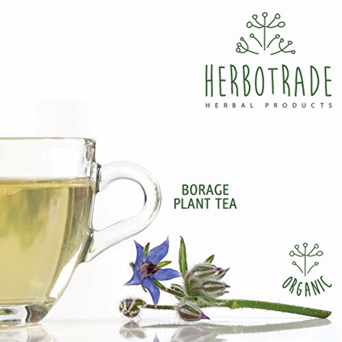 natural remedy borage tea
