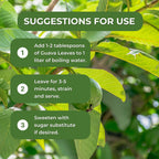 Natural remedy dried guava leaves