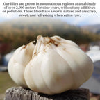 natural remedy dried lily bulbs