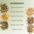natural remedy for bloating relief