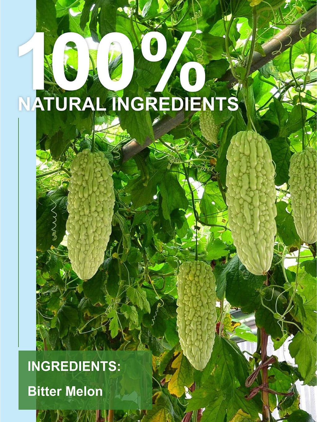 Natural remedy for blood sugar