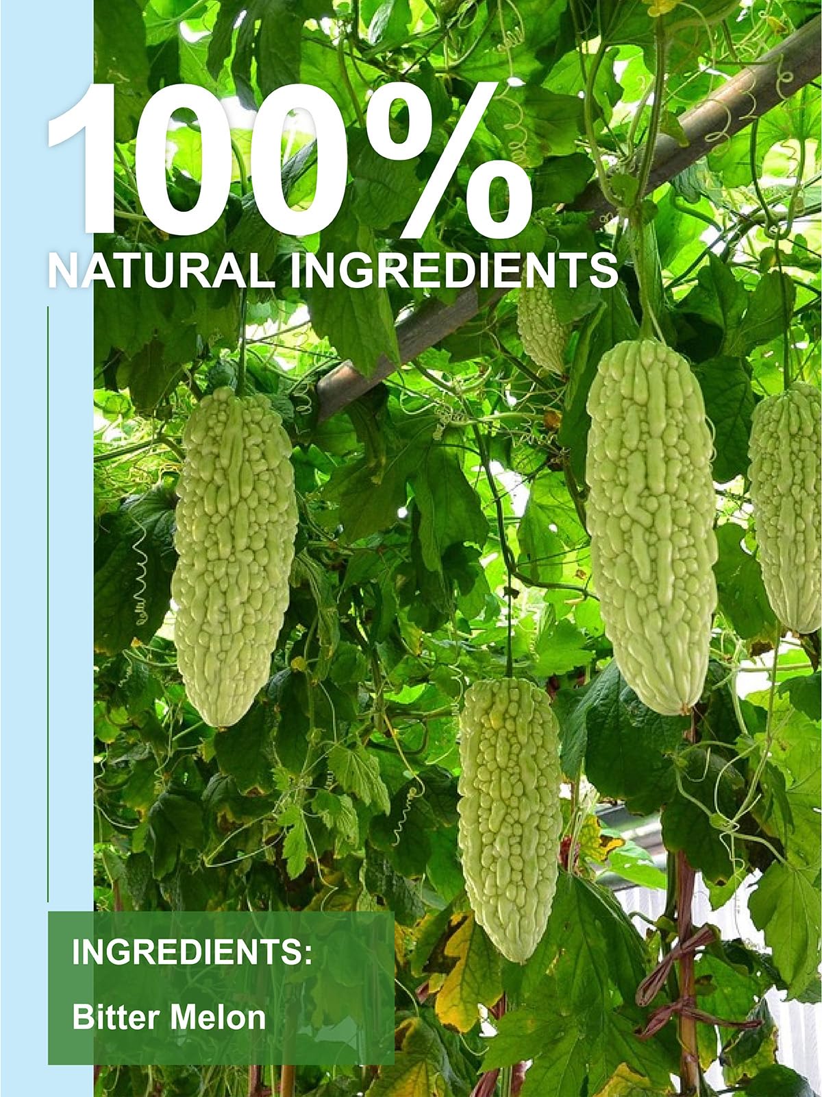 Natural remedy for blood sugar
