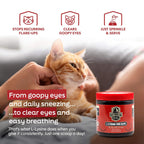 Natural remedy for cat respiratory issues