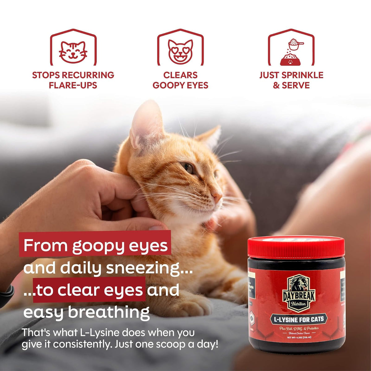 Natural remedy for cat respiratory issues