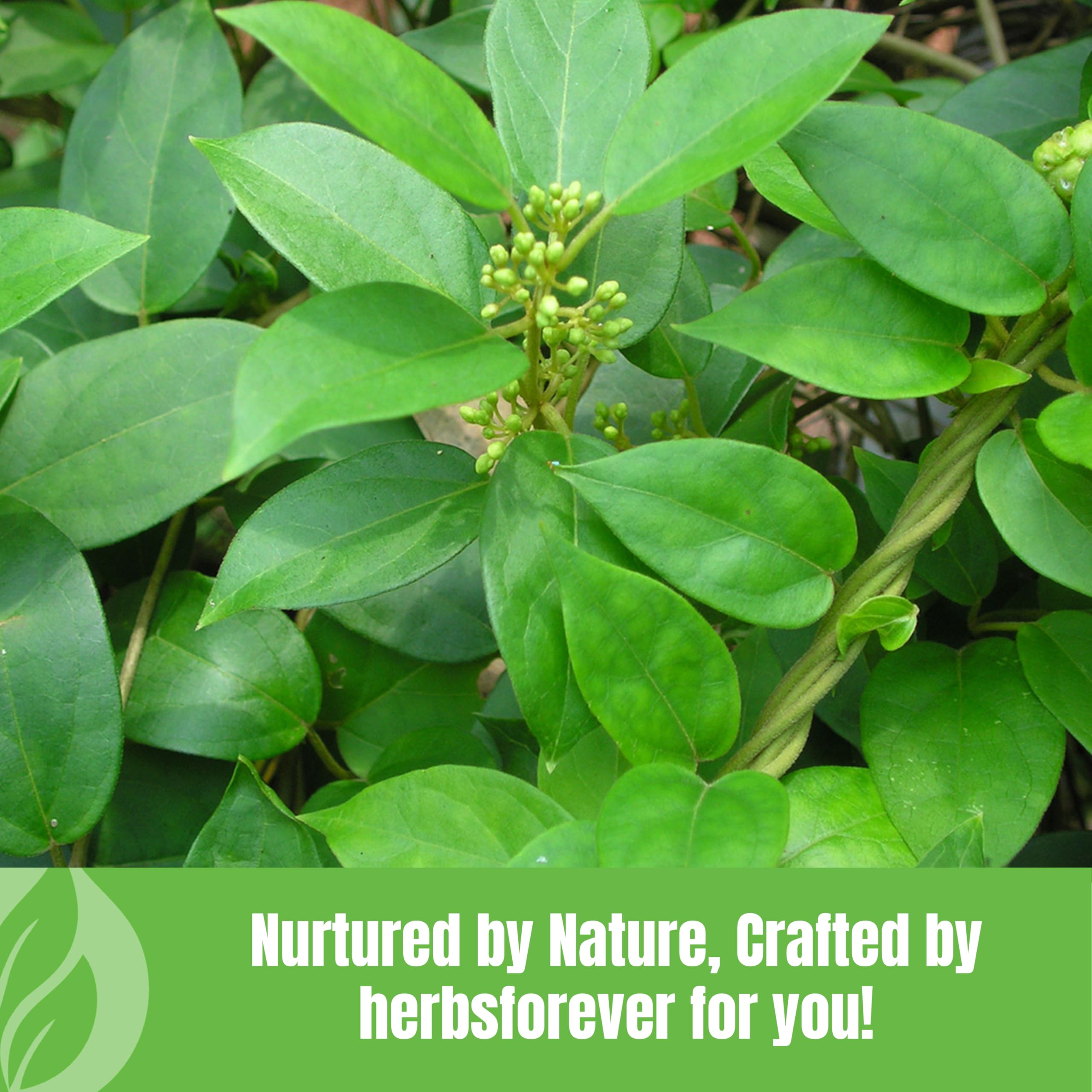 Natural remedy for cravings control
