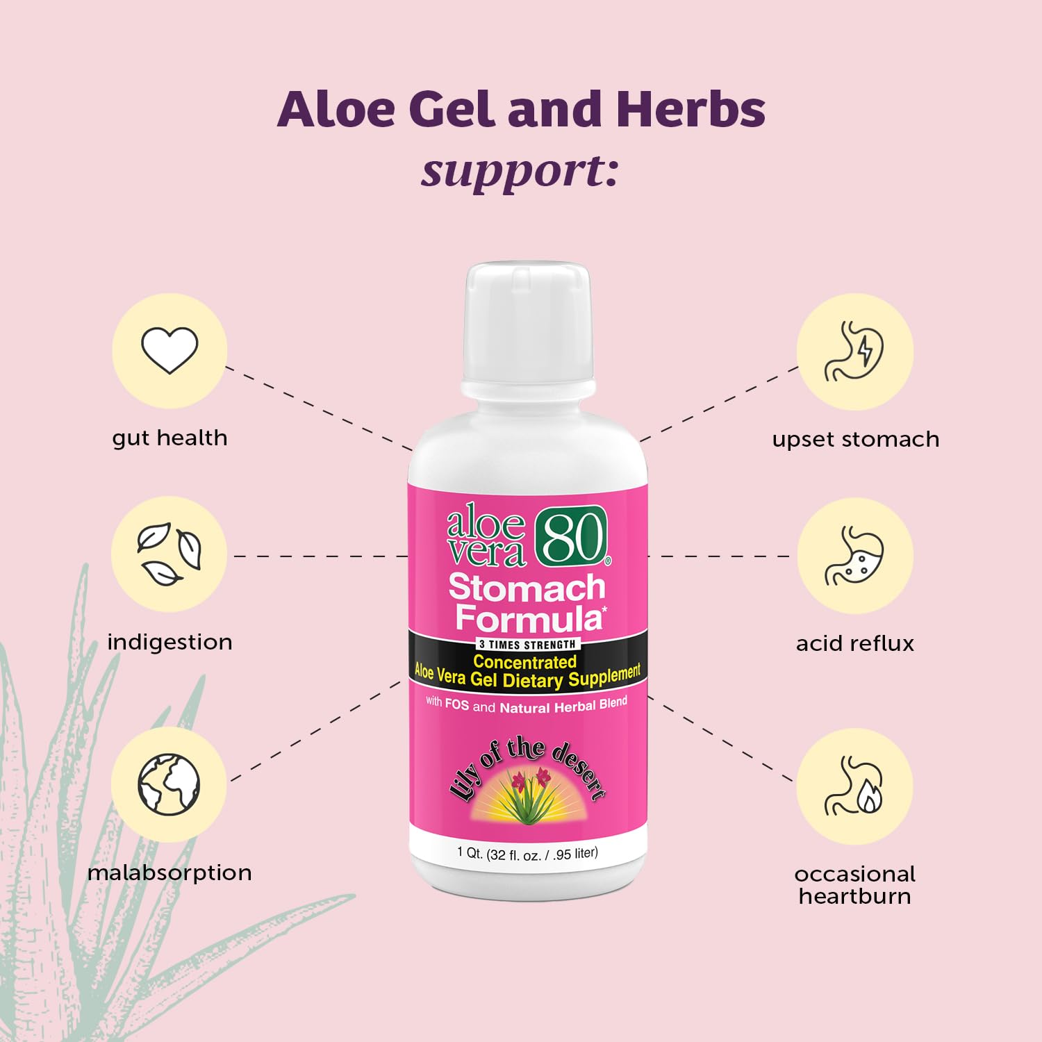 natural remedy for digestive issues