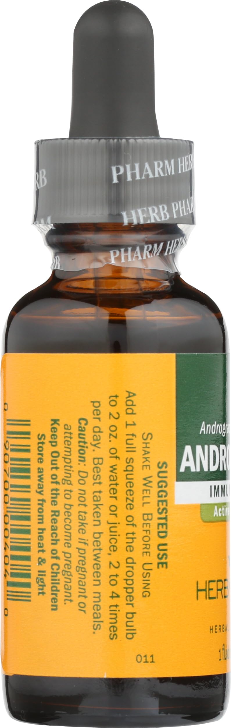 natural remedy for immune strength