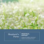 Natural remedy for menstrual support