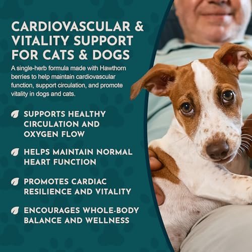 natural remedy for pet heart health