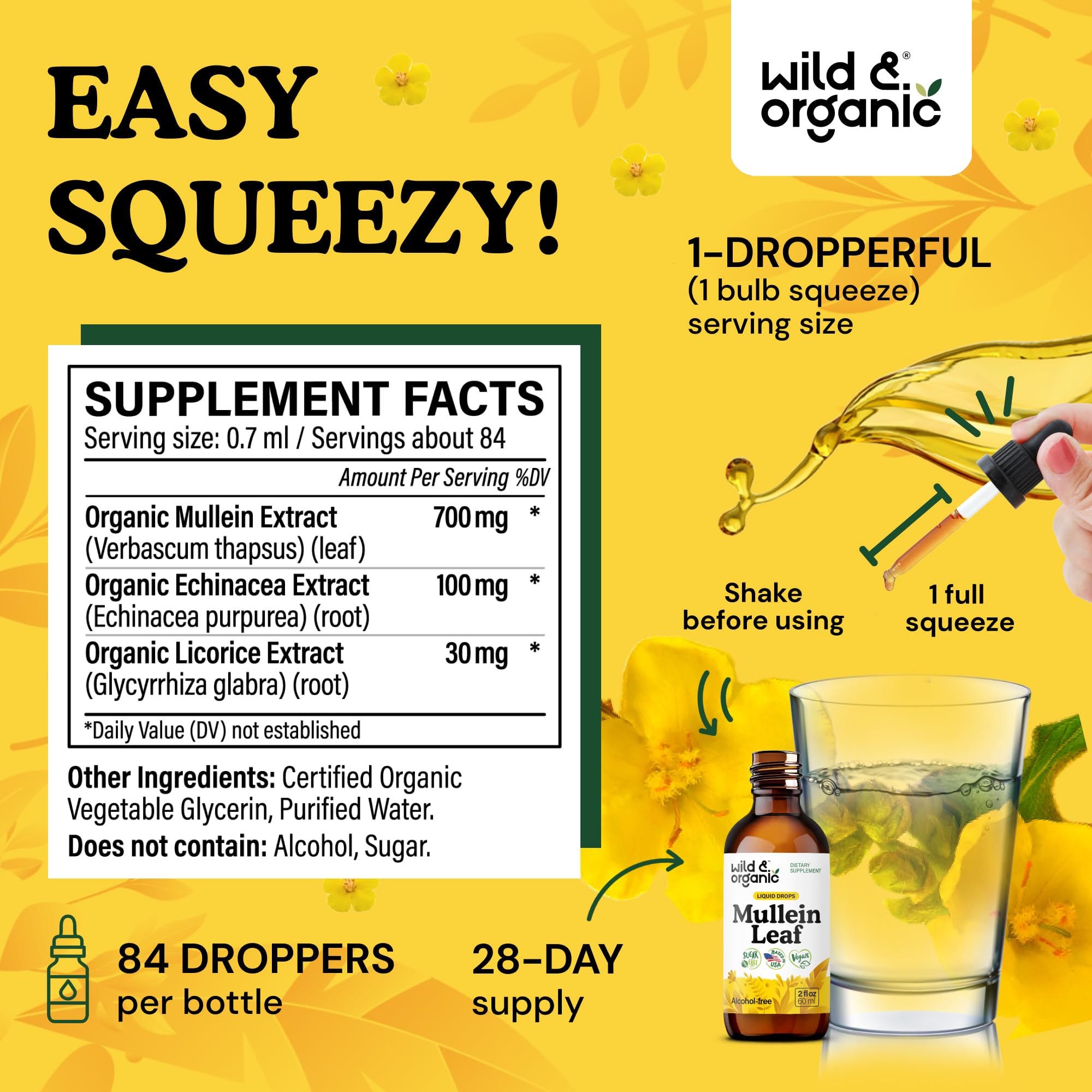 natural remedy for respiratory health