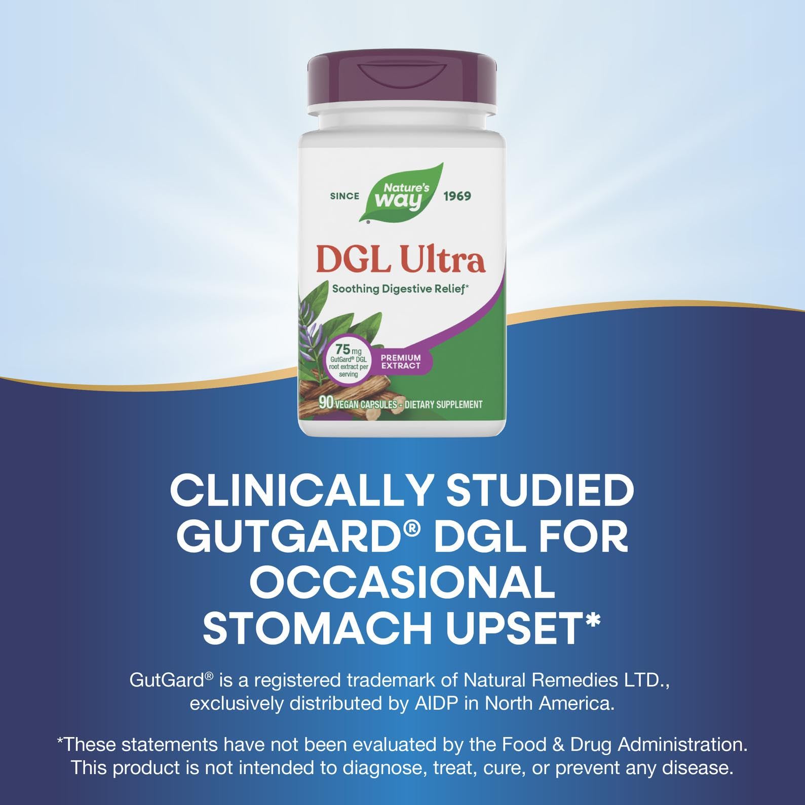 natural remedy for stomach comfort