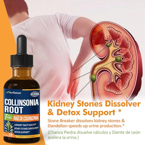 natural remedy for urinary support
