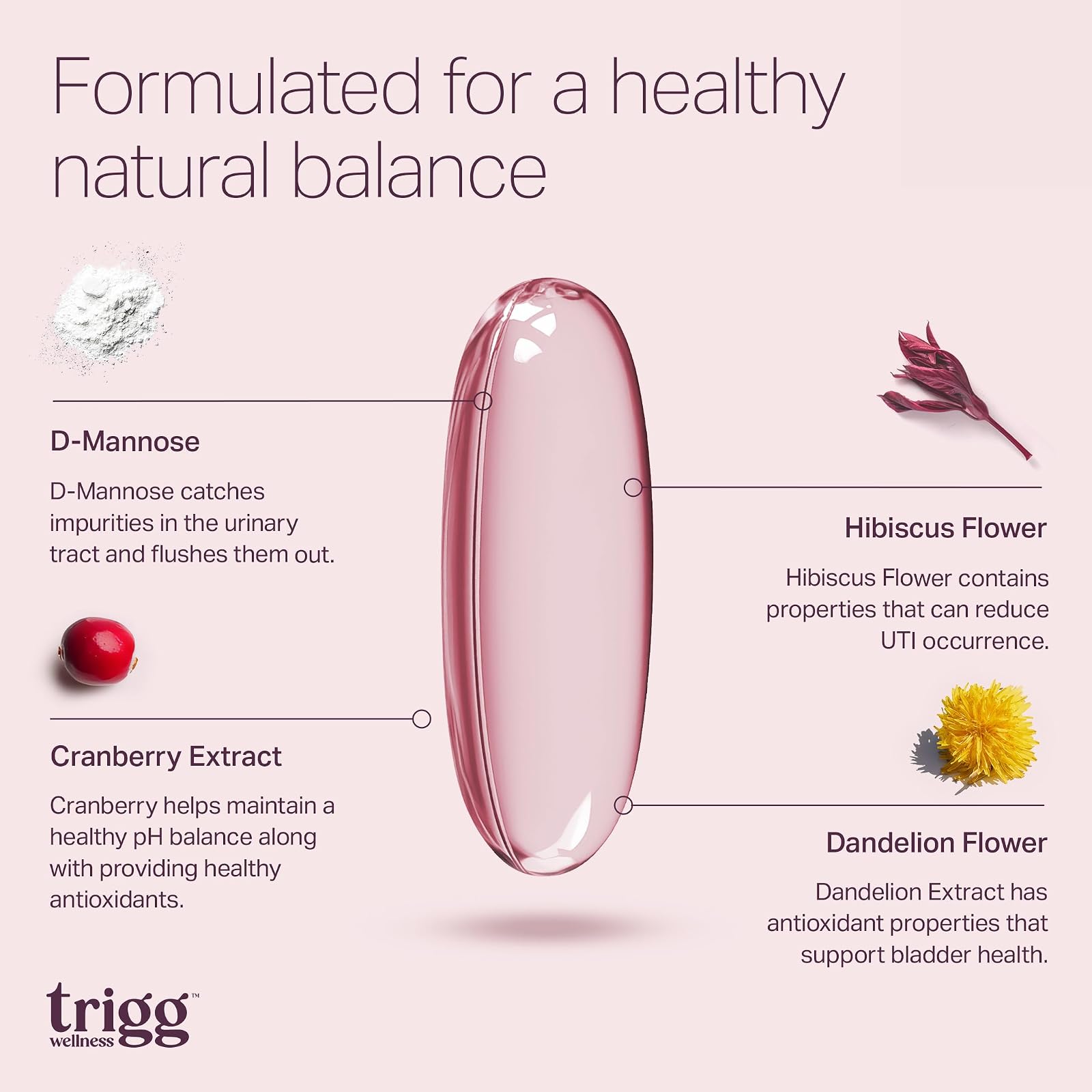Natural remedy for urinary tract wellness