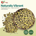 natural remedy goldenseal root herb