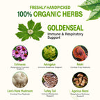 Natural remedy Goldenseal tea