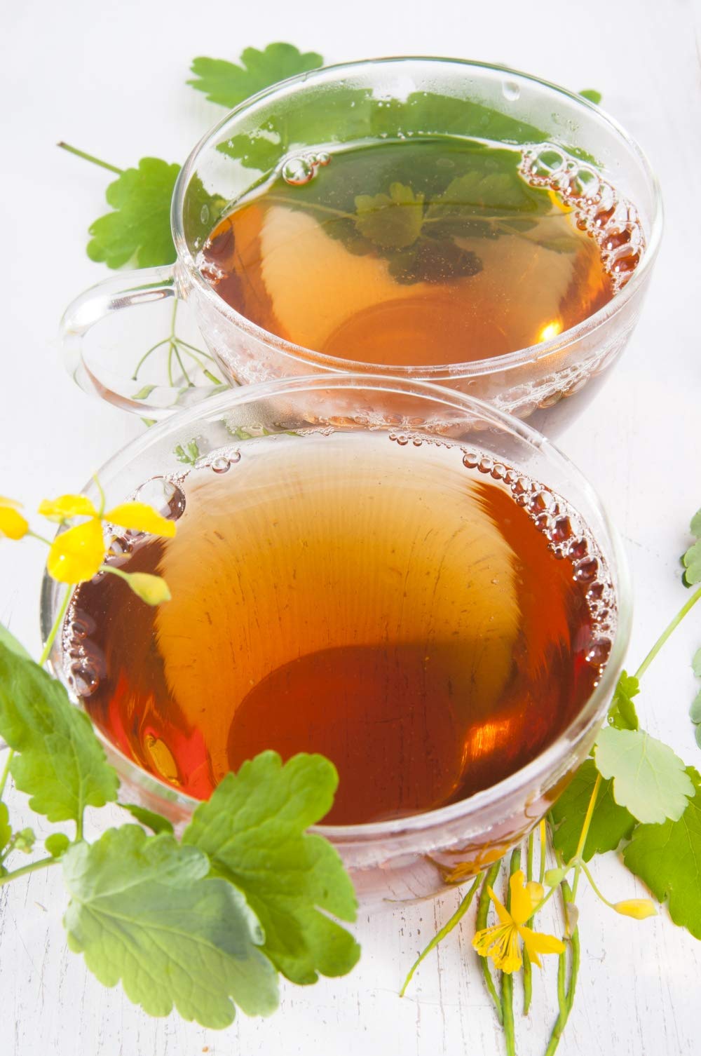 Natural remedy Greater Celandine Herb