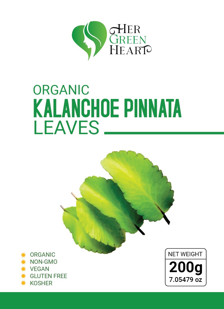 natural remedy Kalanchoe tea