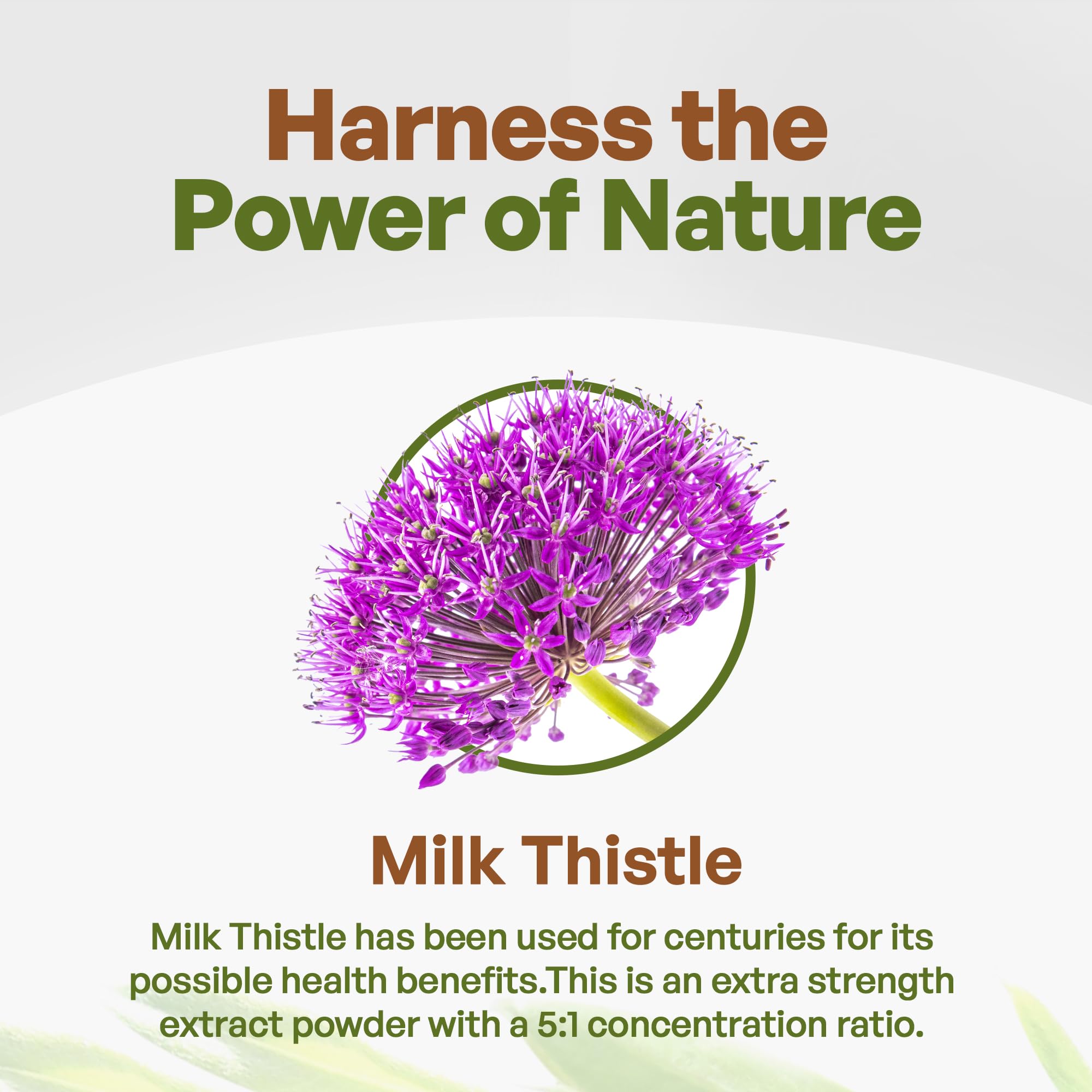 natural remedy milk thistle for wellness