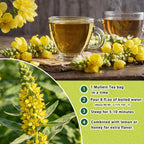 natural remedy mullein tea