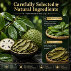 natural remedy soursop tea