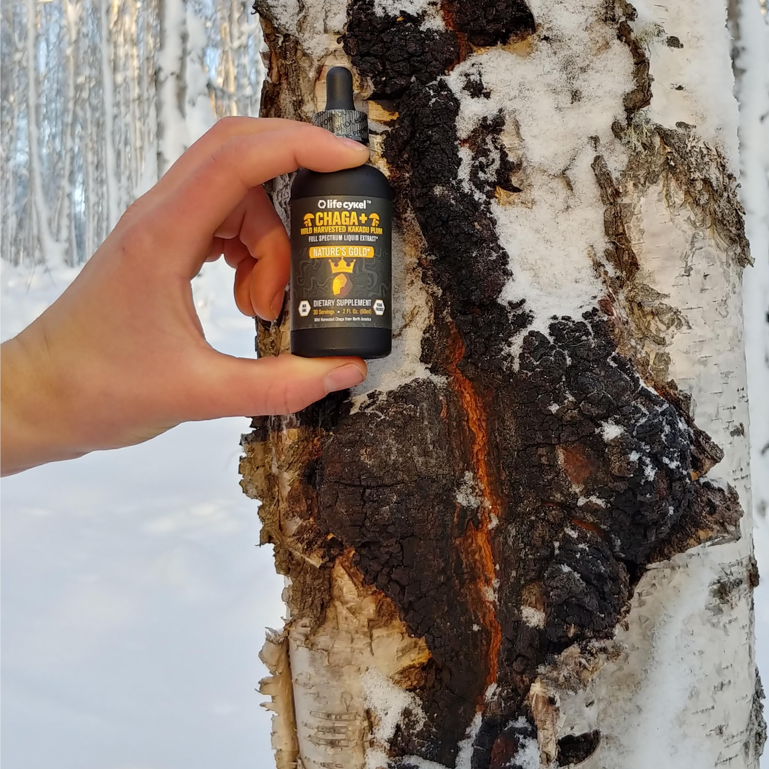 Natural remedy with chaga mushrooms