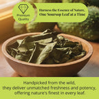 natural remedy with soursop leaves