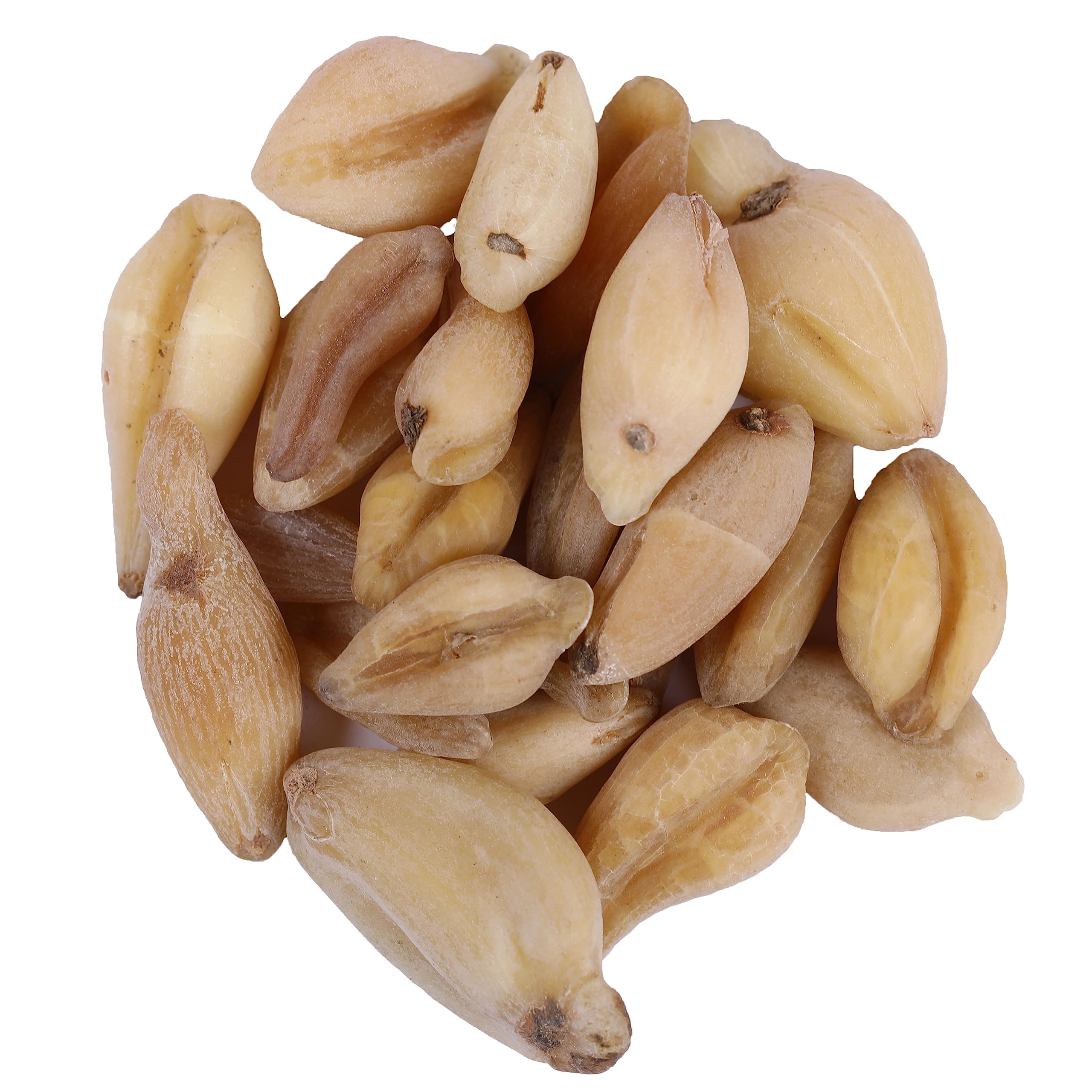 natural remedy with Suranjaan Kadvi
