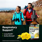 Natural respiratory support Mullein extract