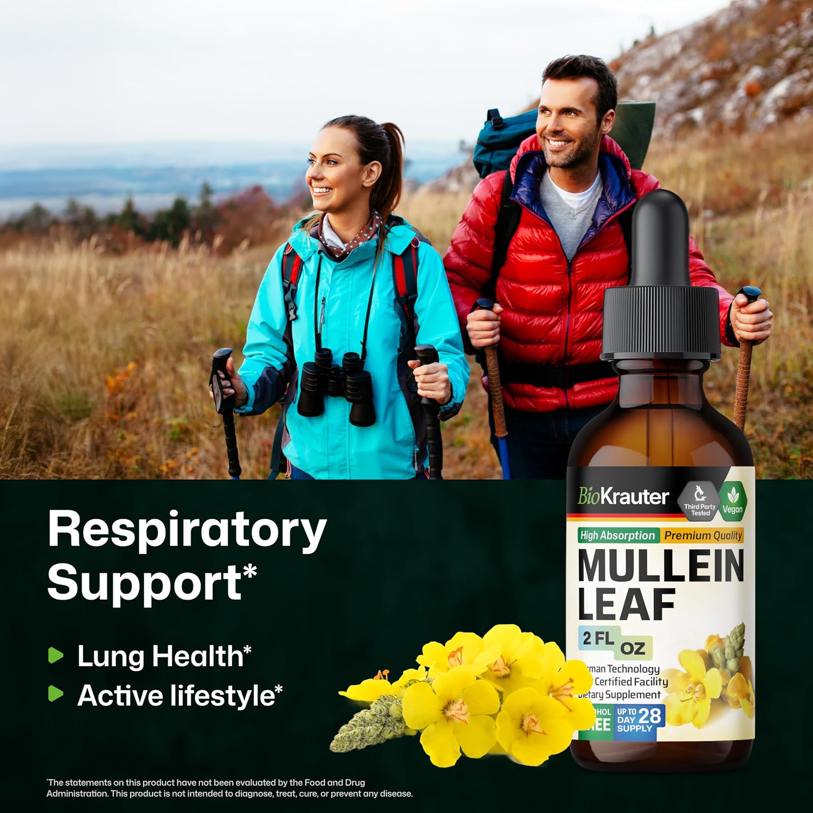 Natural respiratory support Mullein extract