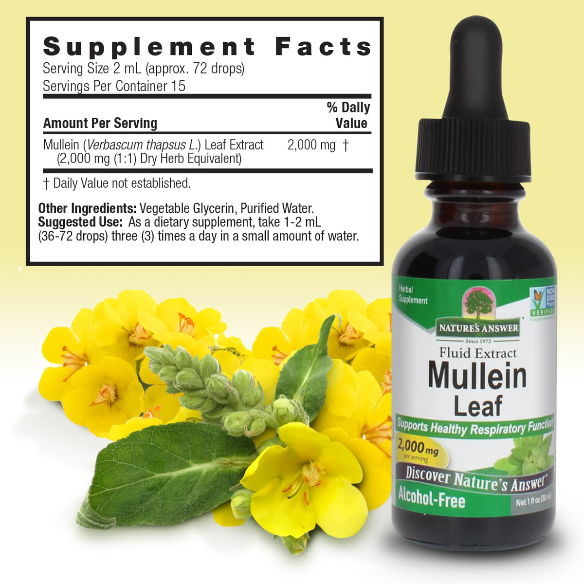 Natural respiratory support Mullein