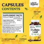 Natural respiratory support with Mullein