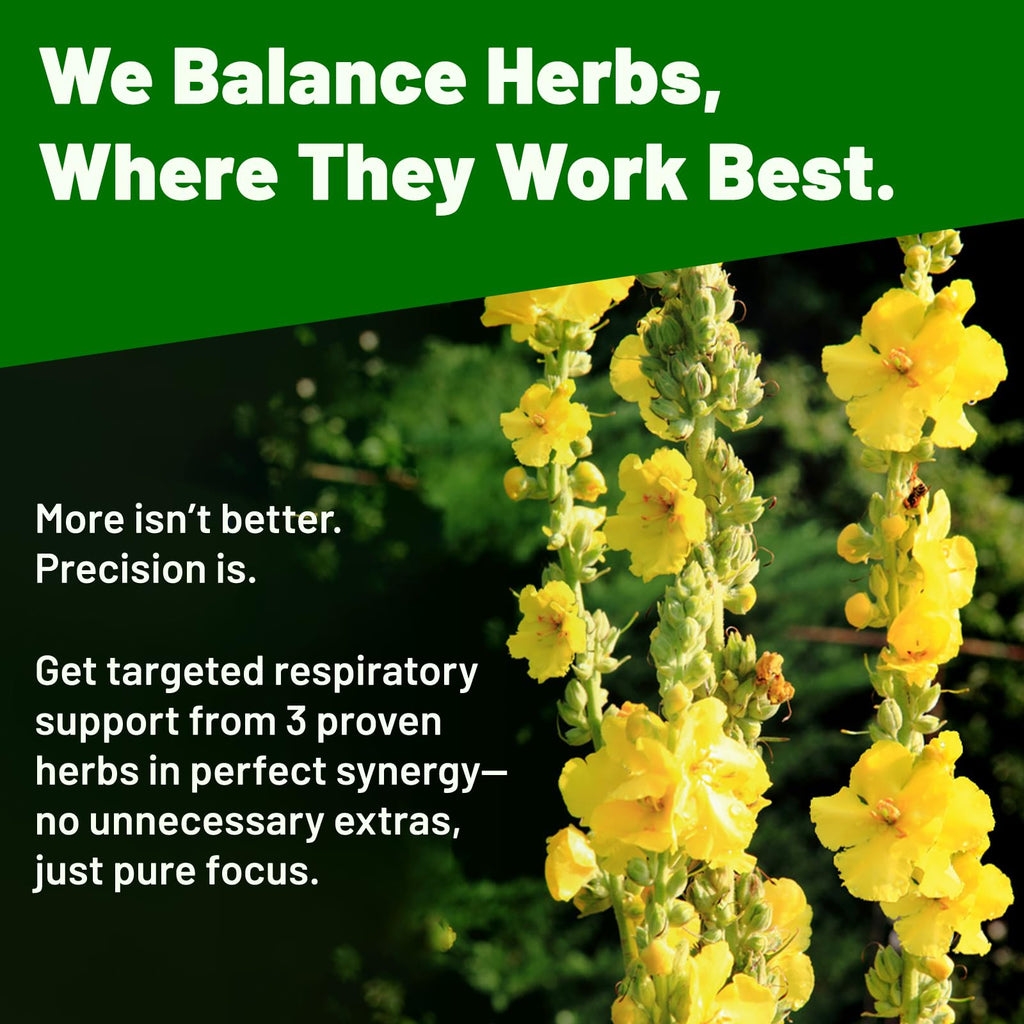 natural respiratory support with mullein
