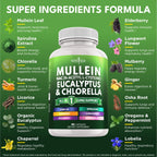 Natural respiratory support with mullein