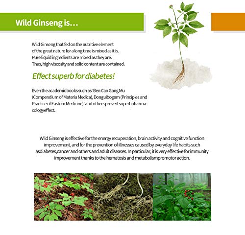 natural revital ginseng plus benefits