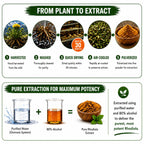 natural rhodiola for overall wellness