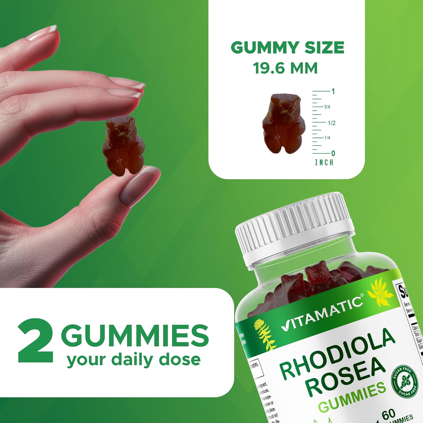 Natural rhodiola rosea energy boost