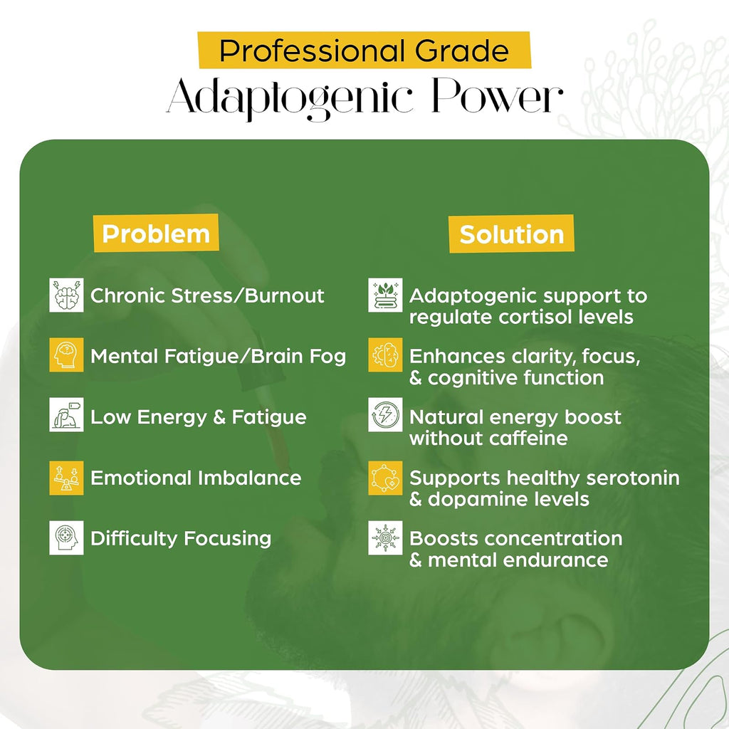natural rhodiola rosea extract for energy