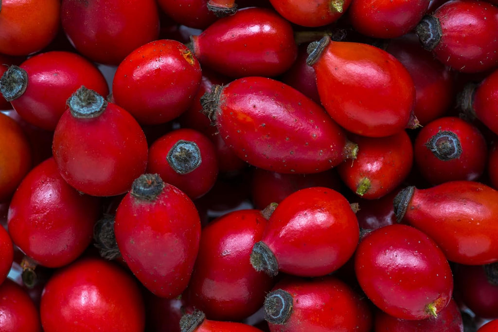 natural rose hips tea benefits