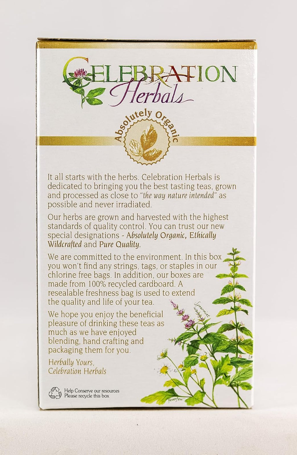 natural rosemary tea for wellness boost
