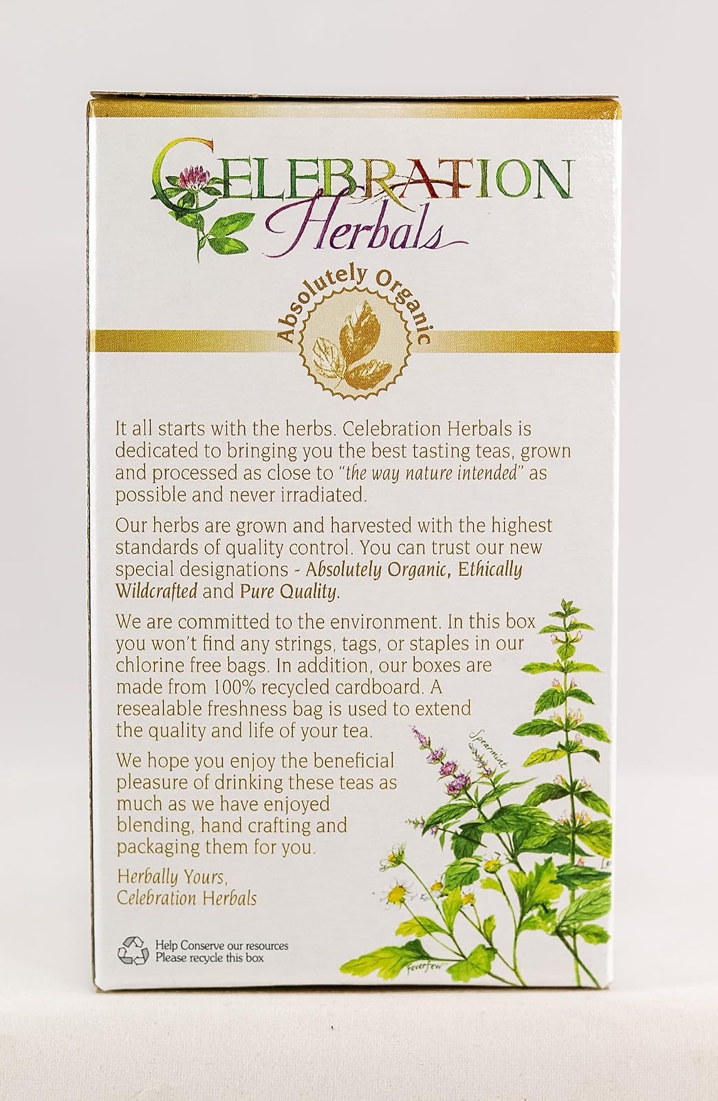 natural rosemary tea for wellness boost