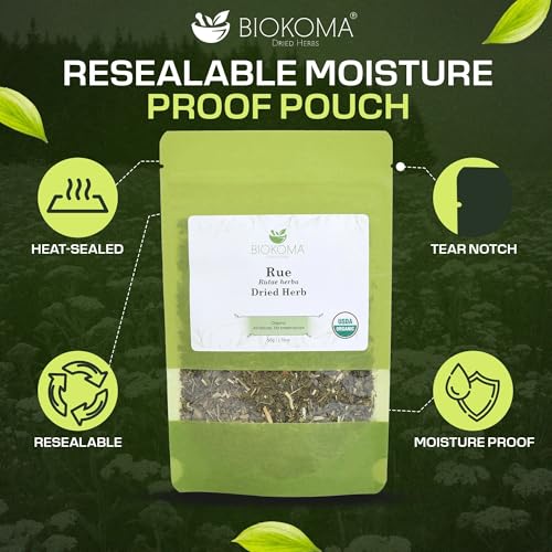 natural rue herb for herbal infusions
