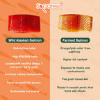 natural salmon oil for wellness