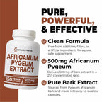 natural saw palmetto extract 500 mg